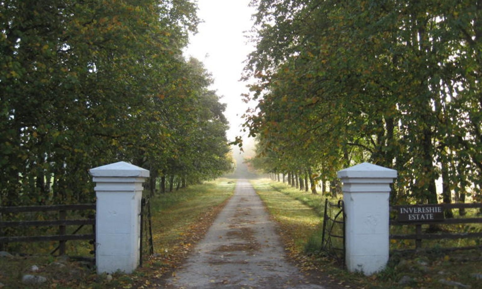 Invereshie Estate – Invereshie Estate